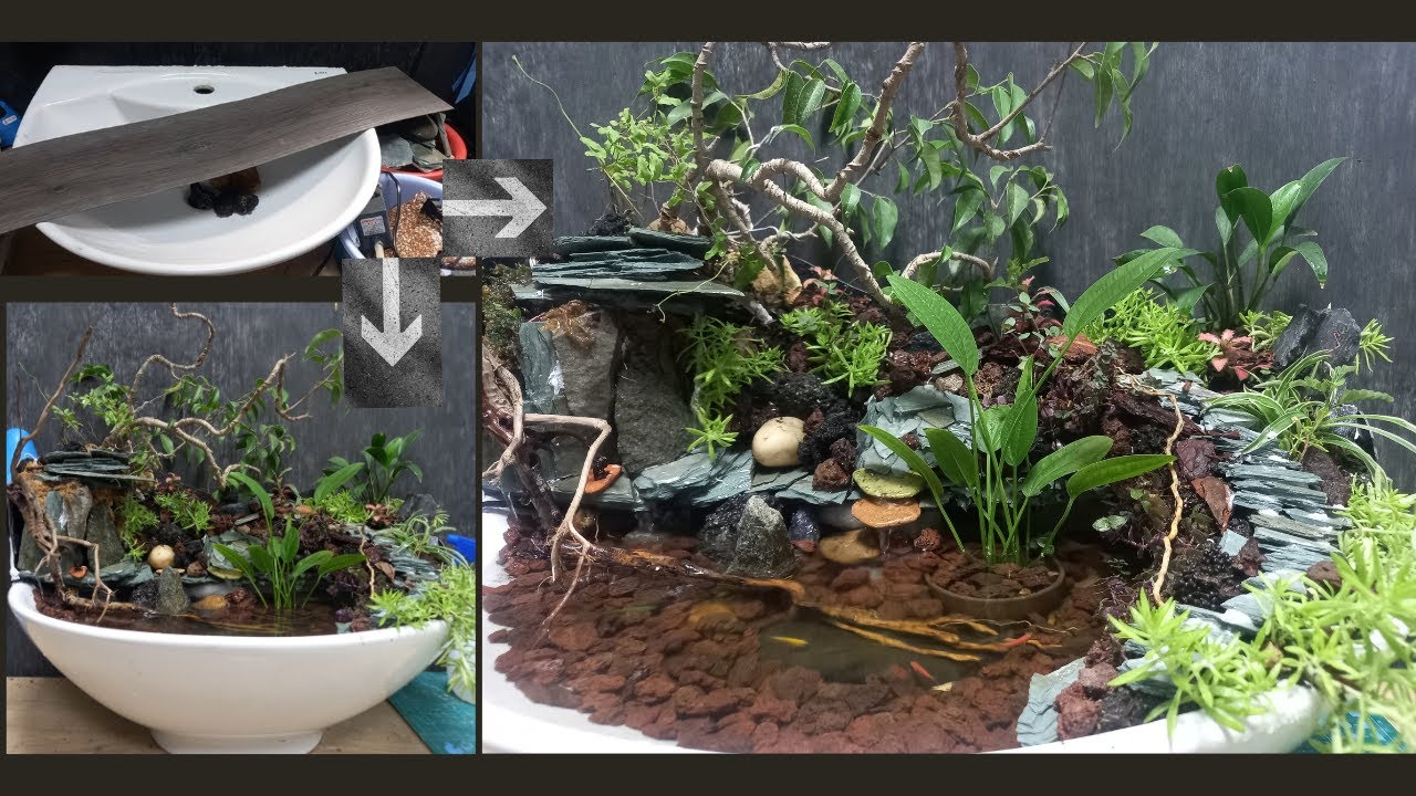 Creative DIY How to make a aquarium from washbasin, aquatic plants ...