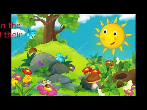 THE BIRDIES IN THE TREETOPS - YouTube