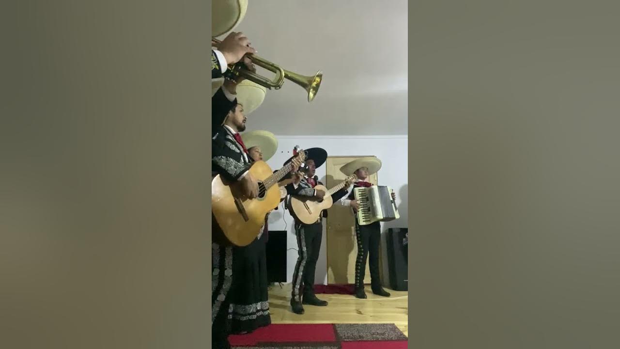 Volver volver - Mariachi Nuevo México - YouTube