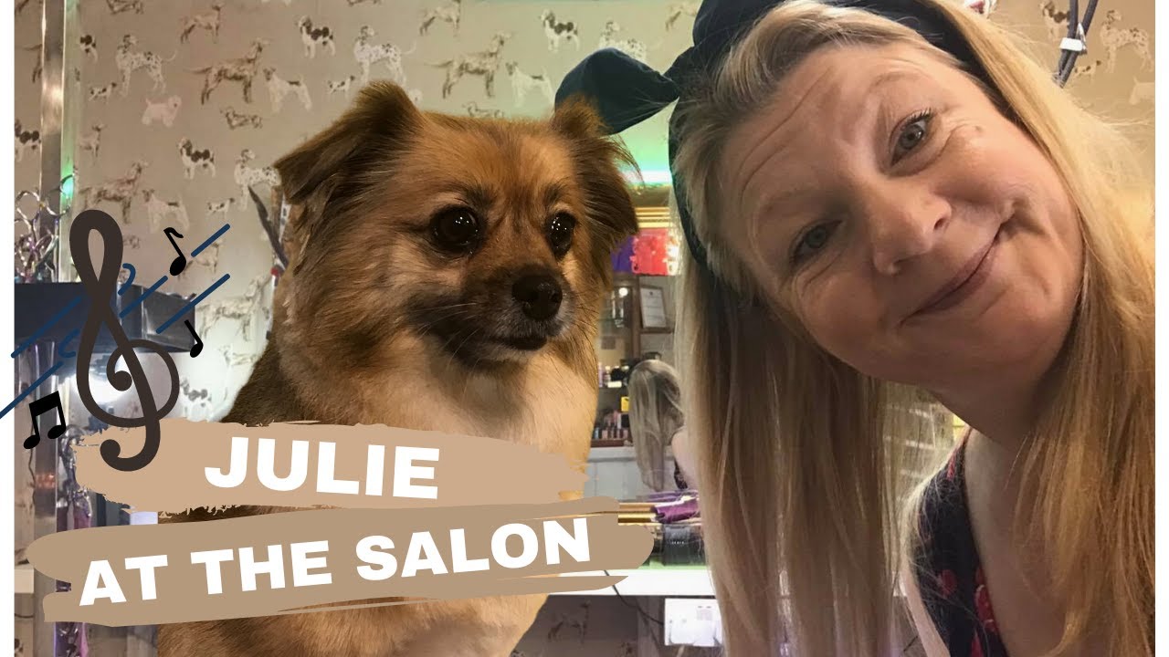 Julie Chihuahua likes my singing | Funny Dog | Dog Grooming UK - YouTube