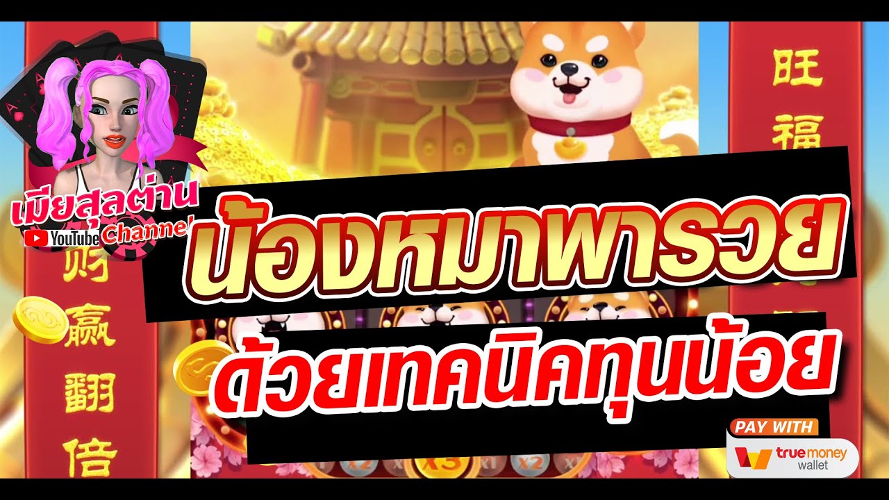 เกมใหม่PG Win Win Won สล็อตน้องหมา หมาน้อย พารวย - YouTube