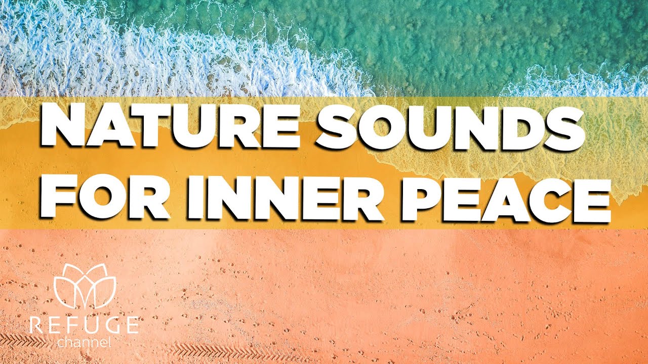 Nature Sounds for Inner Peace & Relaxation - YouTube