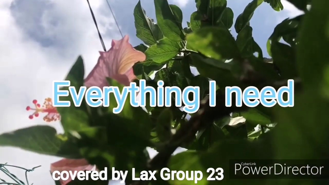 Lax 2005 MUSIC VIDEO (Group 23) - YouTube