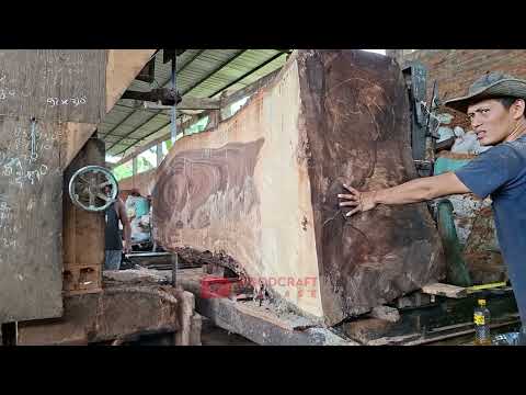 Aşırı ve Tehlikeli! Asya'da Kereste İşleme Süreci