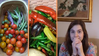 I *doubled* my backyard garden's value in 1 year | Veggies, herbs, etc