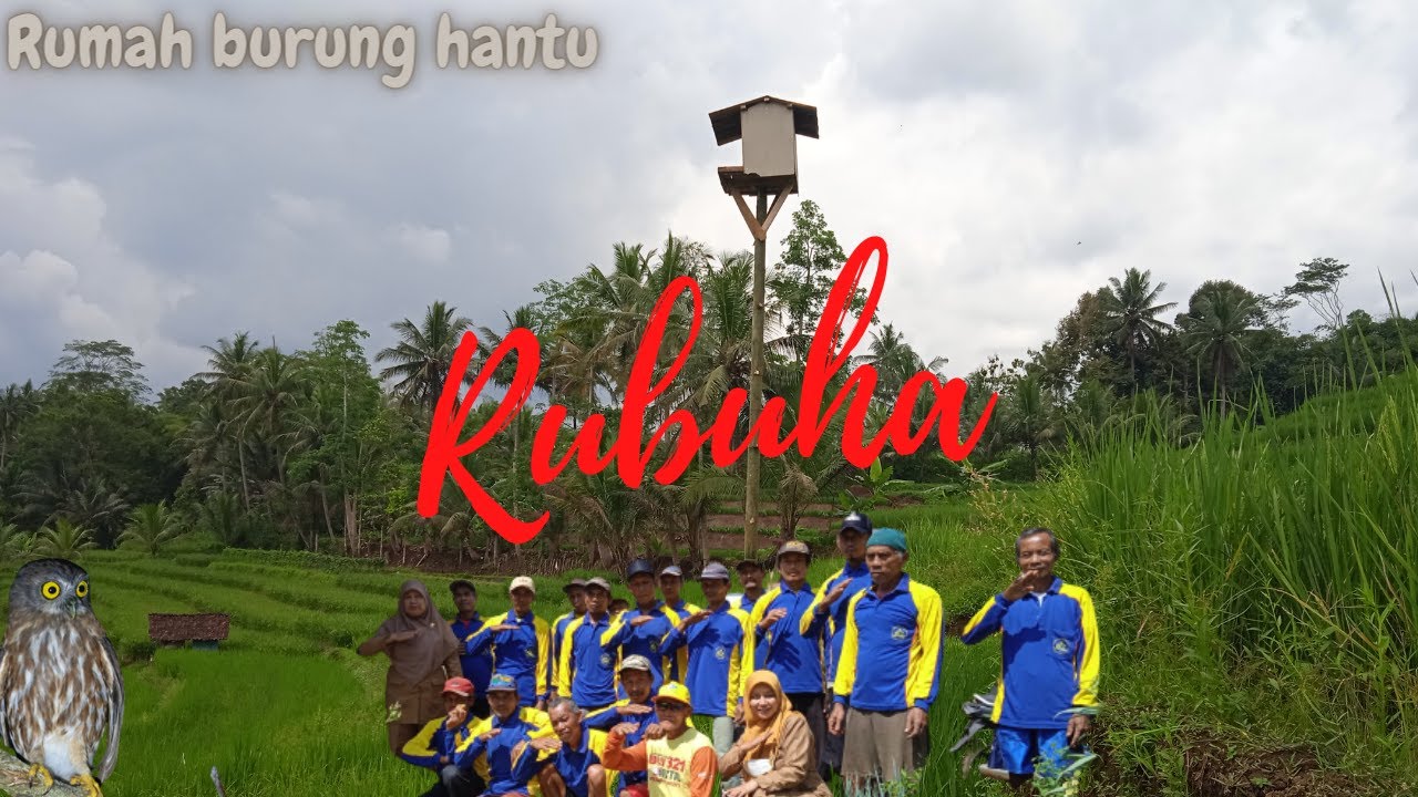 RUMAH BURUNG HANTU | GERAKAN PEMBUATAN RUBUHA - YouTube