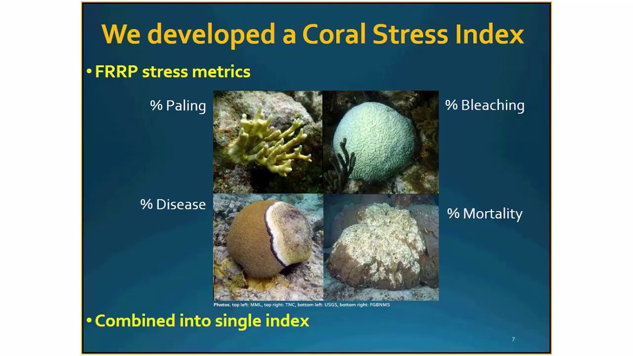 “Identifying Coral Stress 'Hot Spots'” John Fauth & Danny Goodding - YouTube