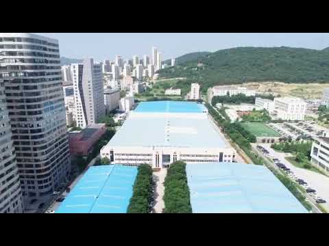 Dalian sunlight plant overall view - YouTube
