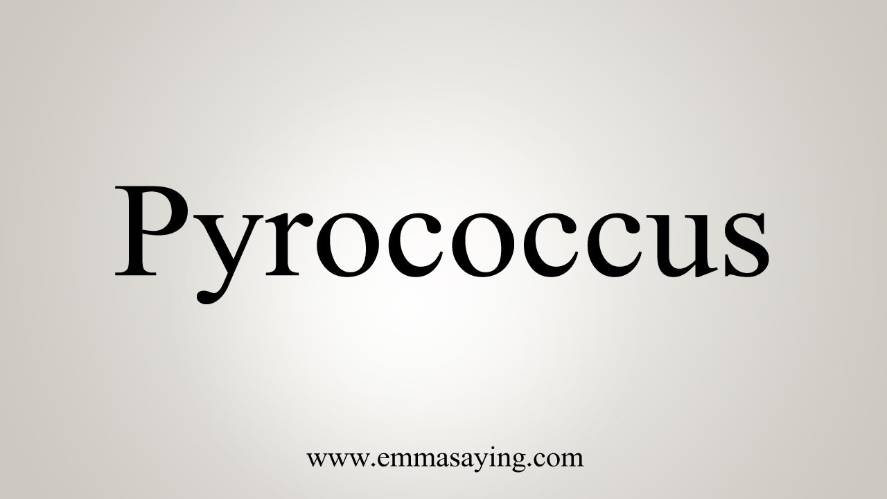 How To Say Pyrococcus - YouTube