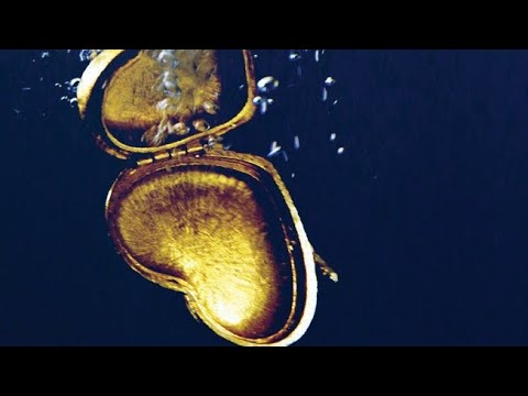 Pretty Girls 👧: (chuckles) sound effect - YouTube