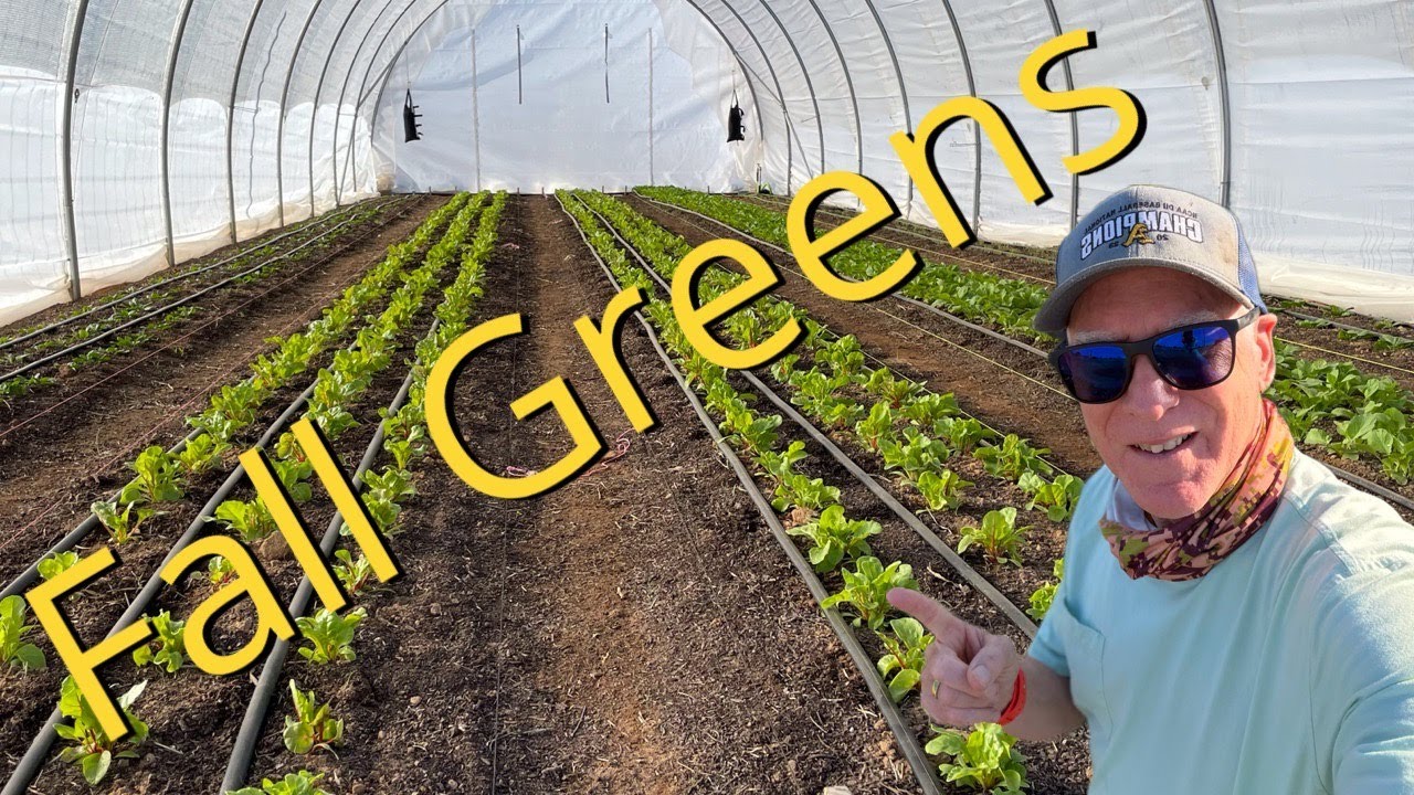 Fall Greens - YouTube