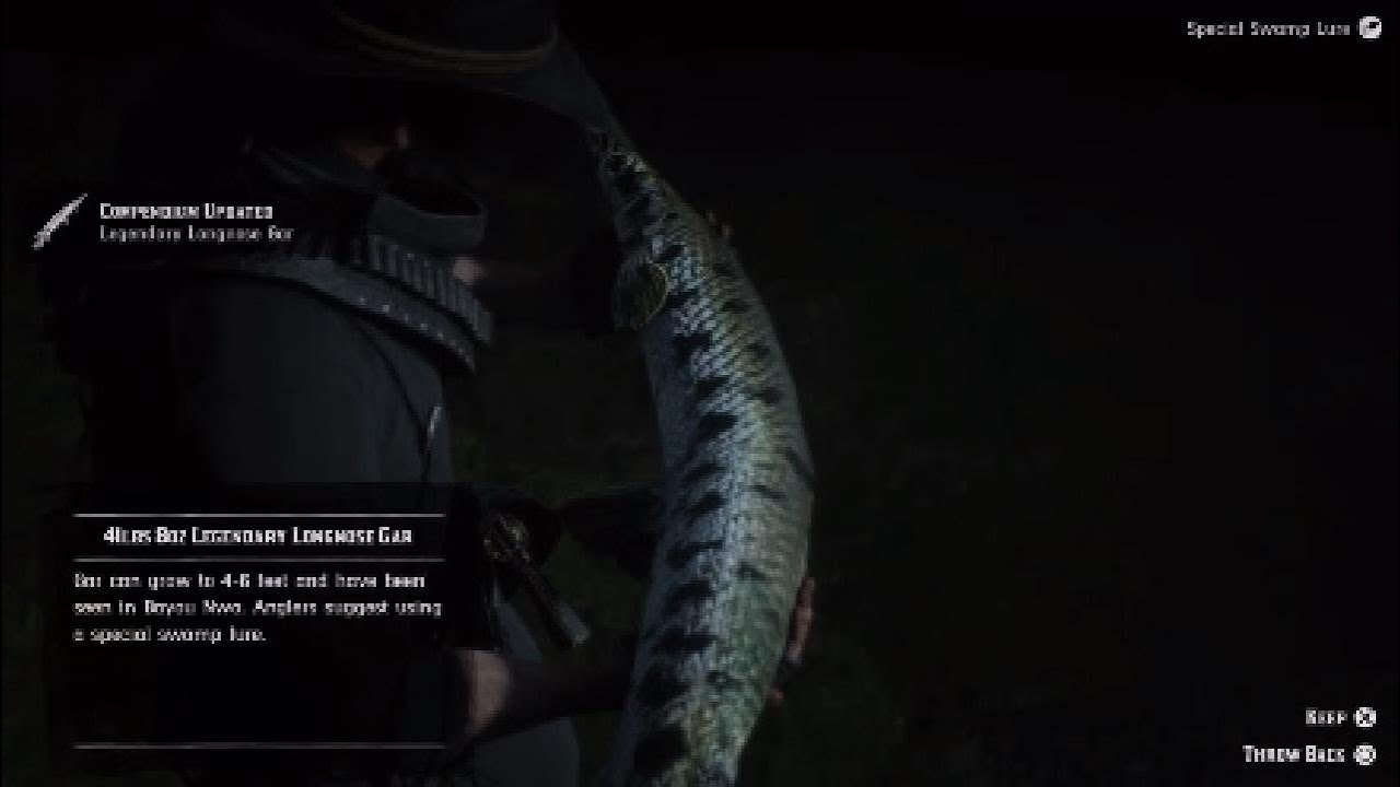How to catch Legendary Longnose Gar RDR2 - YouTube