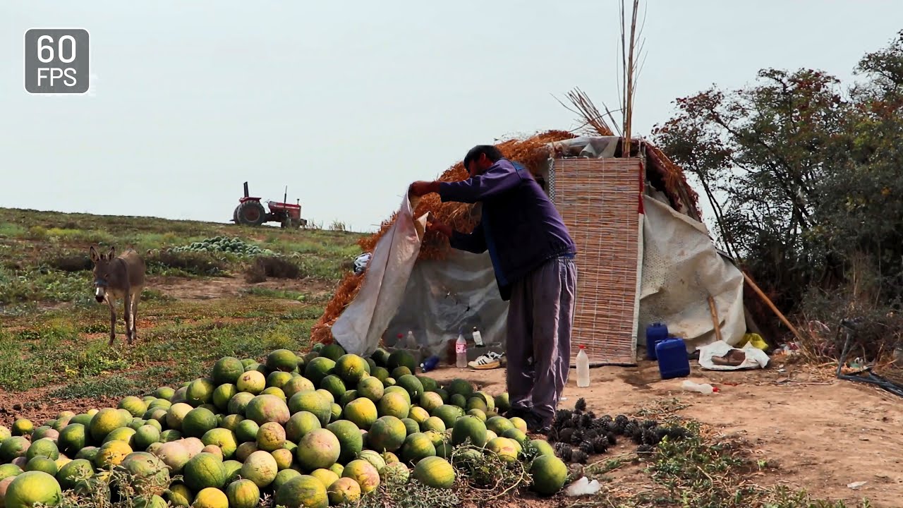 Rural life in #mountain style | A day with farmers in a hut ...