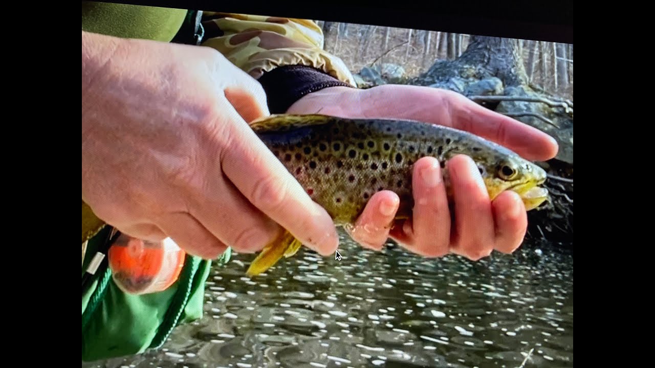BLUE LINE FISHING NJ Trout fishing - YouTube