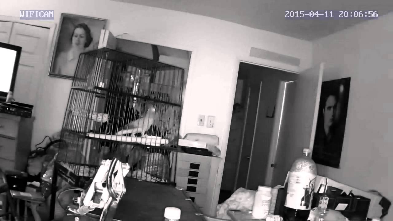 Paranormal Activity Orbs Caught On Surveillance Night Vision Camera ...