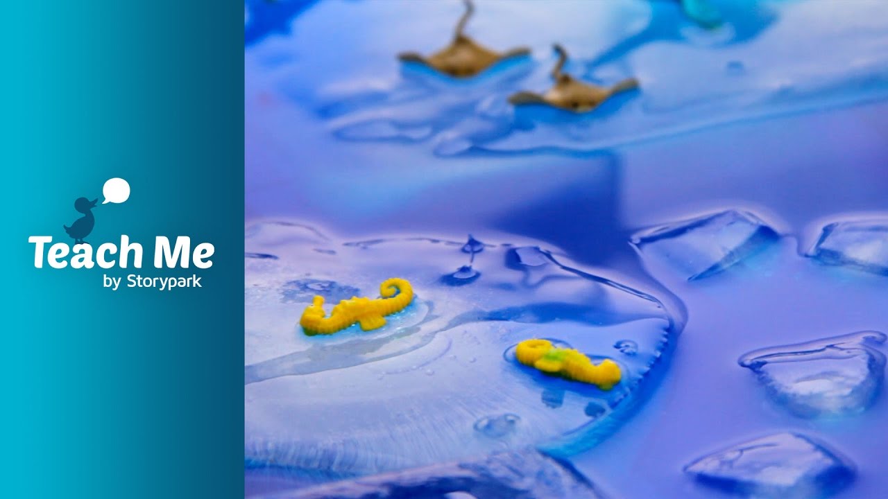 Mini Arctic World - YouTube