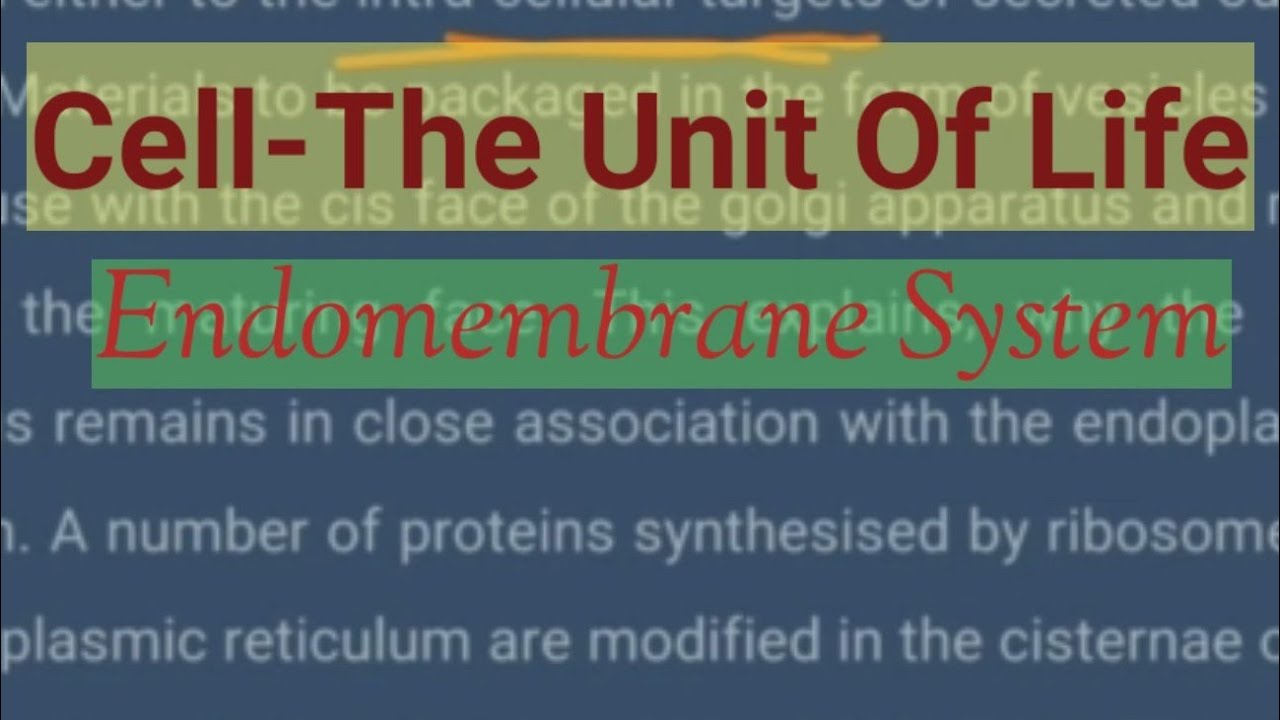 Endomembrane System Eukaryotic Cells Part 4 Lesson 8 Ncert