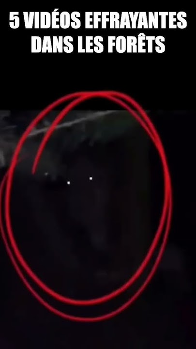 5 vidéos effrayantes dans les forêts filmés par la caméra #peur - YouTube