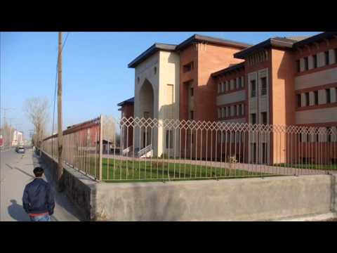 alemci.04 (ağrılı liseli gençler)