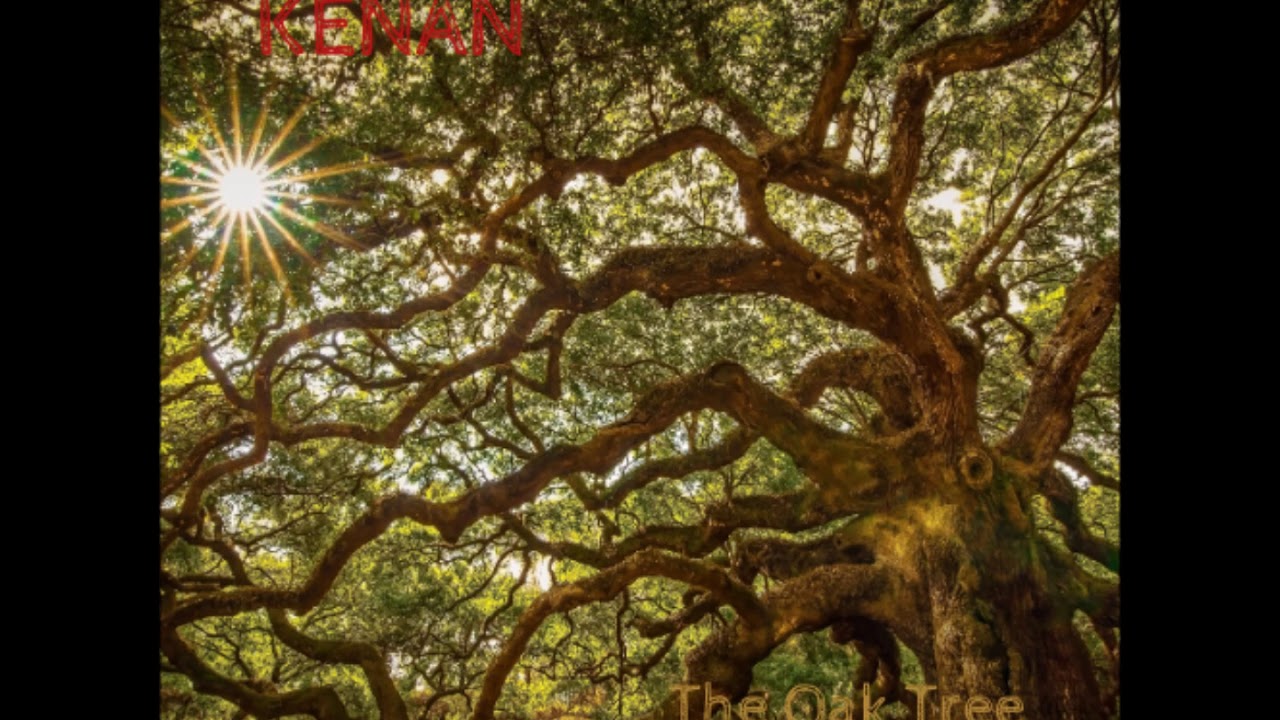 KENAN - The Oak Tree - YouTube