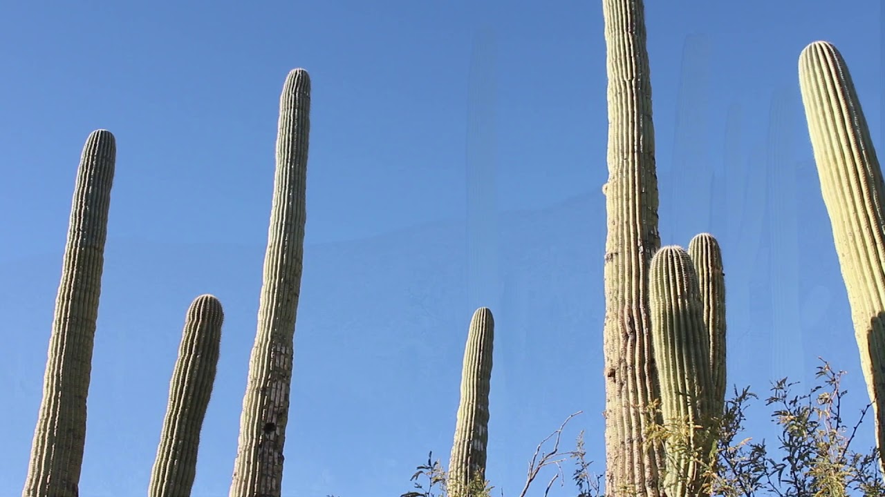 Desert Montage - YouTube