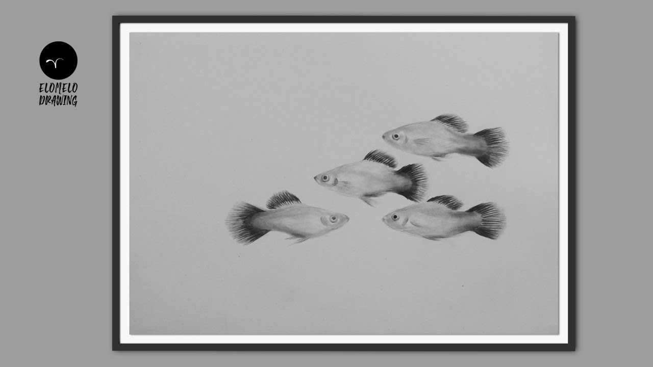 How To Draw Sunburst Platy Fish || Pencil Sketch || Drawing Tutorial ...
