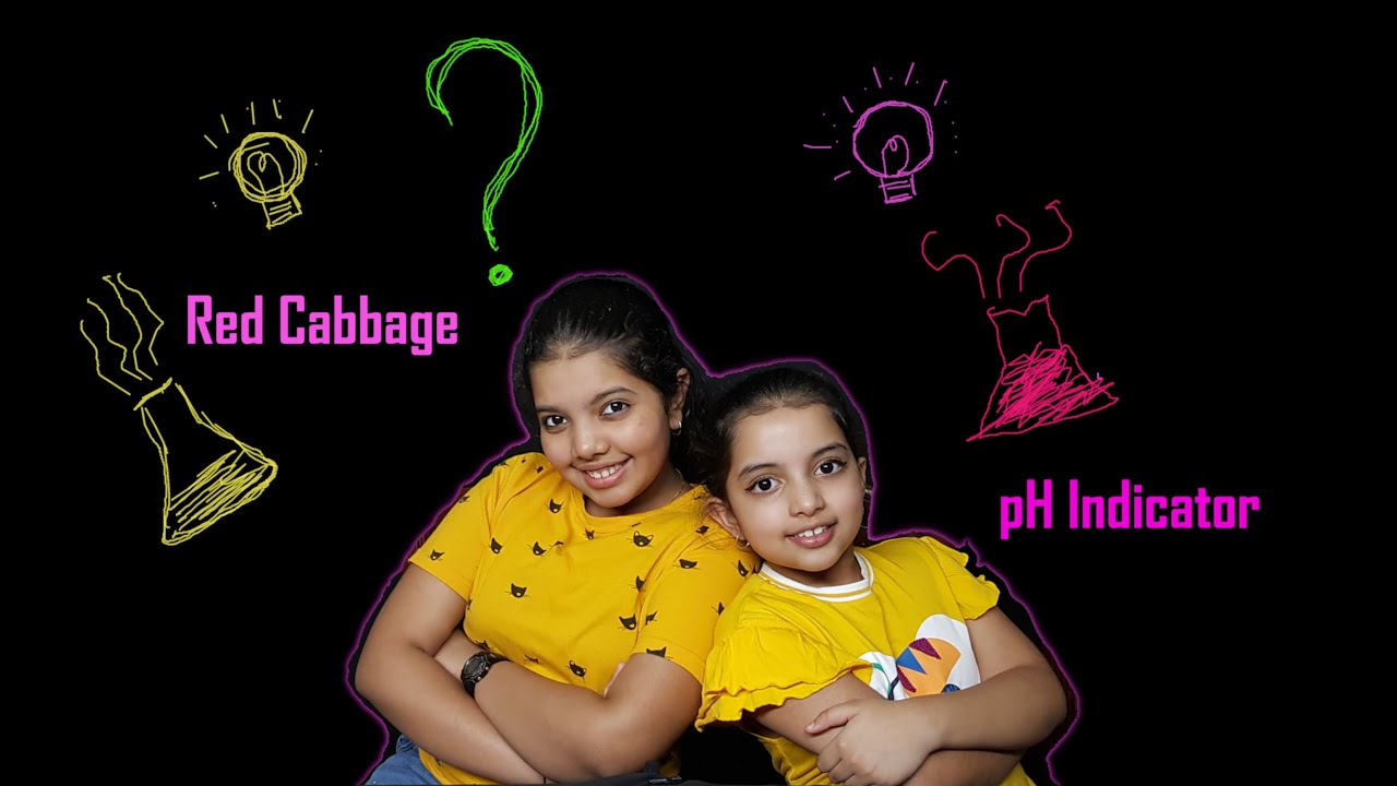 Red Cabbage pH Indicator Experiment | Testing for Acids and Bases | The ...