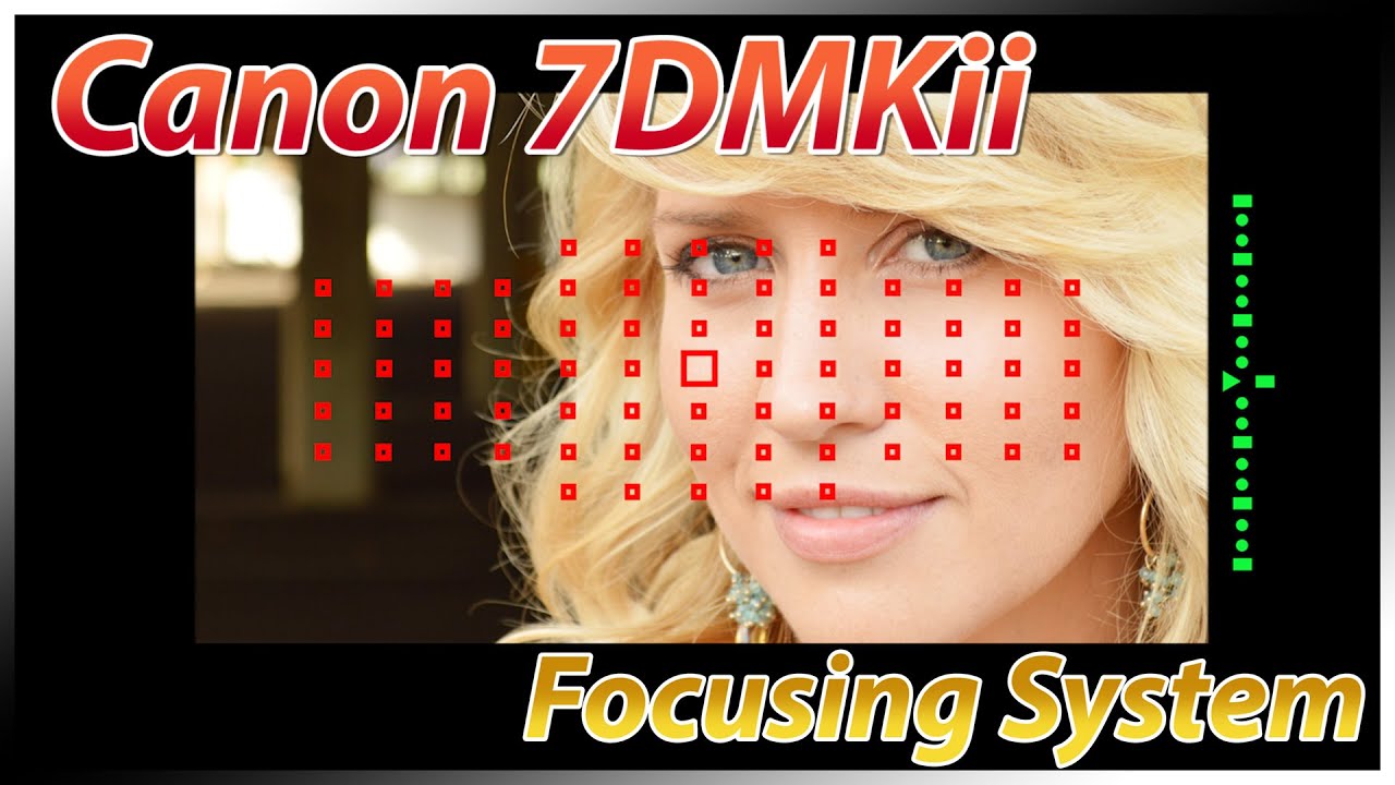 Canon 7Dii Focusing Tutorial Training | How to Focus | Overview Review Tips Suggestions - YouTube