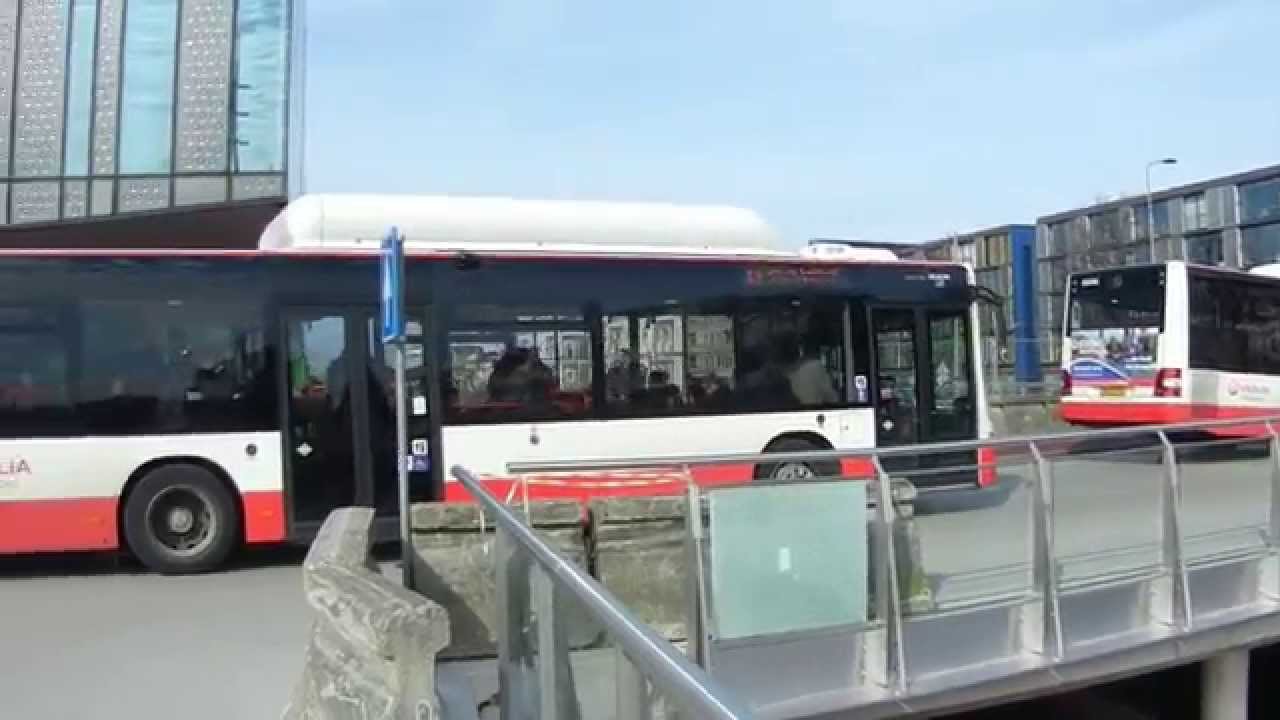 Bussen op het nieuwe busstation bij station Delft. - YouTube