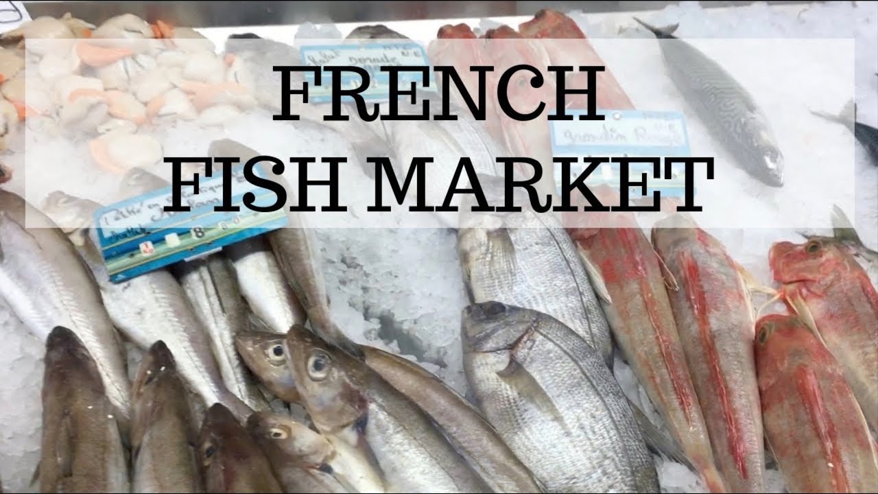 🇫🇷 FRENCH FISH MARKET - LOBSTERS CRABS SCALLOPS OYSTERS - YouTube