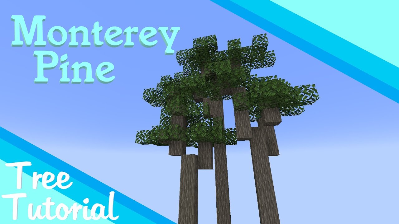 Minecraft Custom Tree Tutorials - Monterey Pine - YouTube