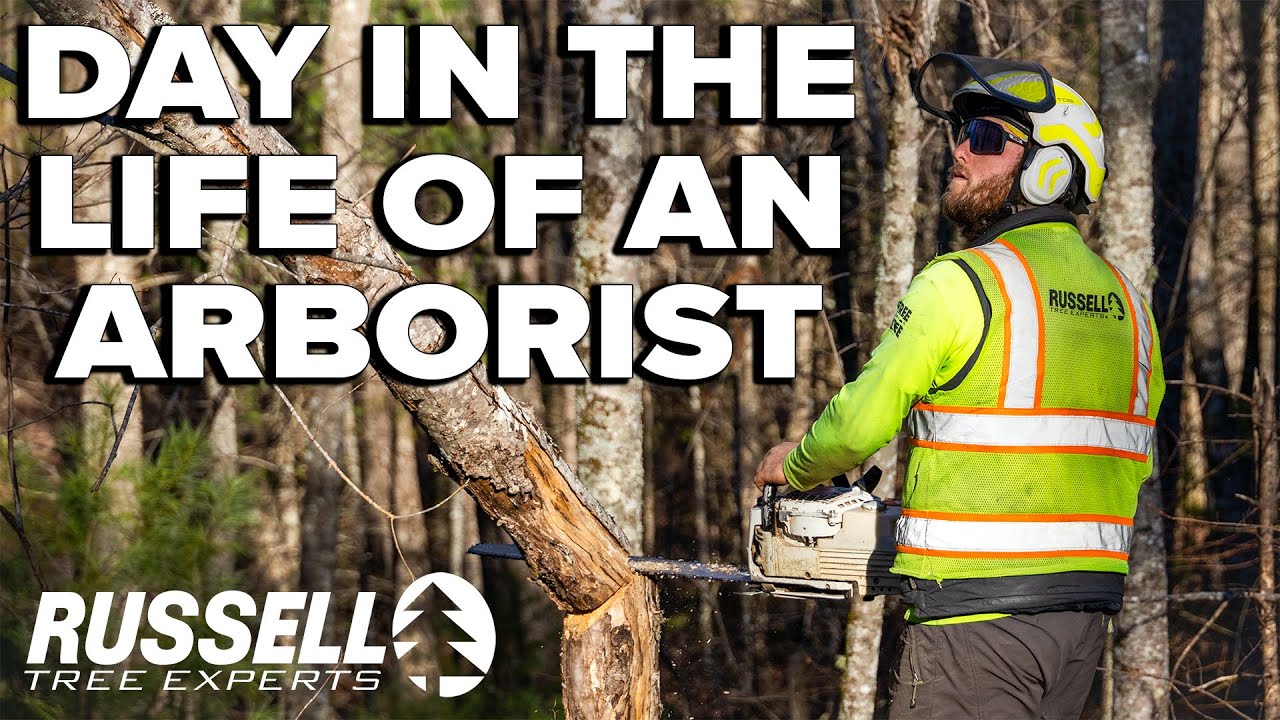 THIS is What It's Like Being an ISA Certified Arborist at a National ...