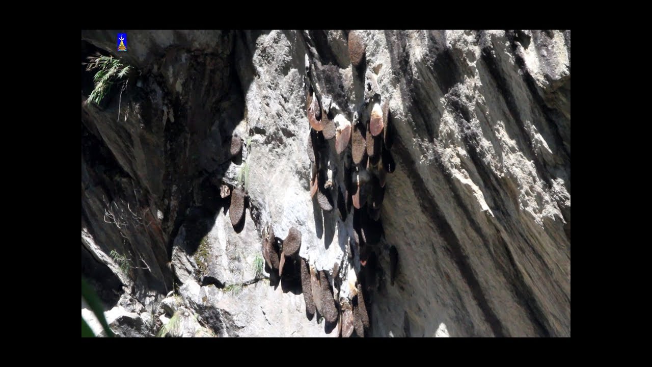 Wild Honey Hunting.. Huge bee hive on the rock cliff of Langatang ...