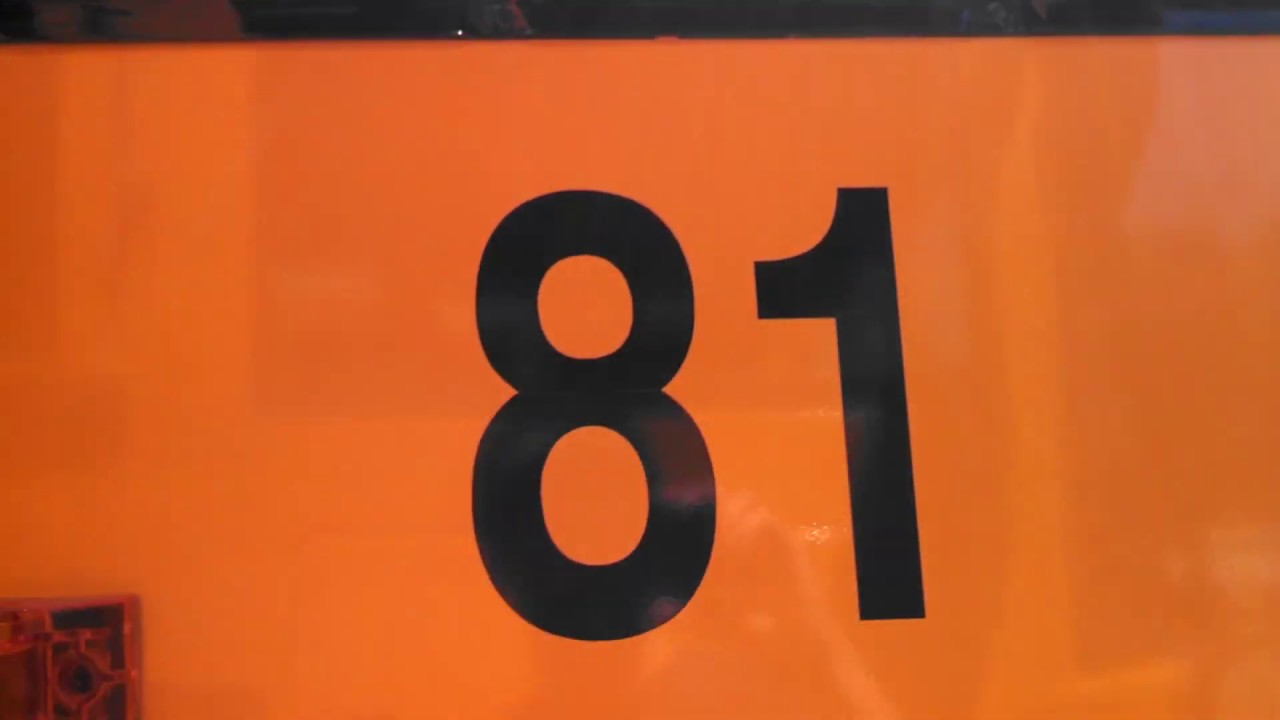 Thomas bus 81 walk around! - YouTube