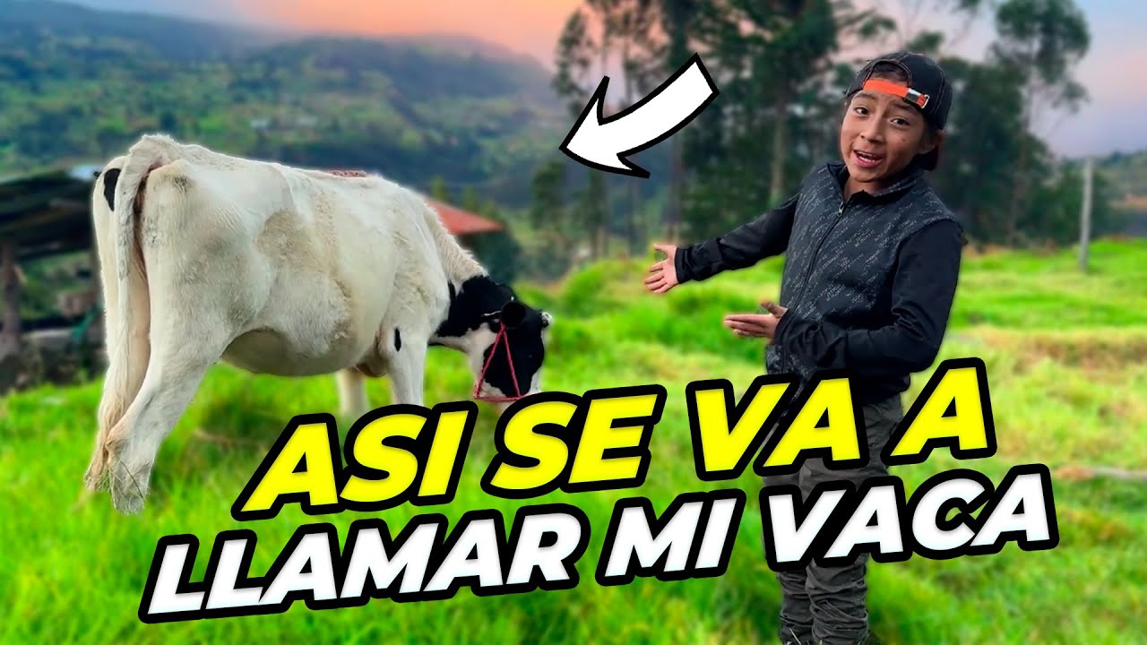 Mira lo que Uvitas le compro a la vaca que le regalo su madrina - YouTube