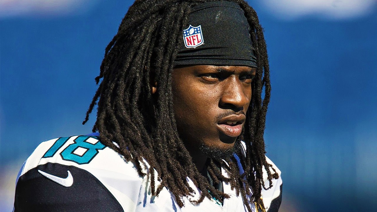 Ace Sanders 2013 Jaguars Highlights (Ultimate) - YouTube