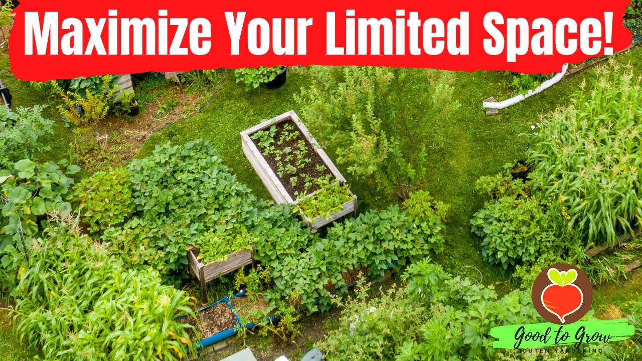 5 Strategies to BOOST Production Value in Small Garden Spaces | Self ...