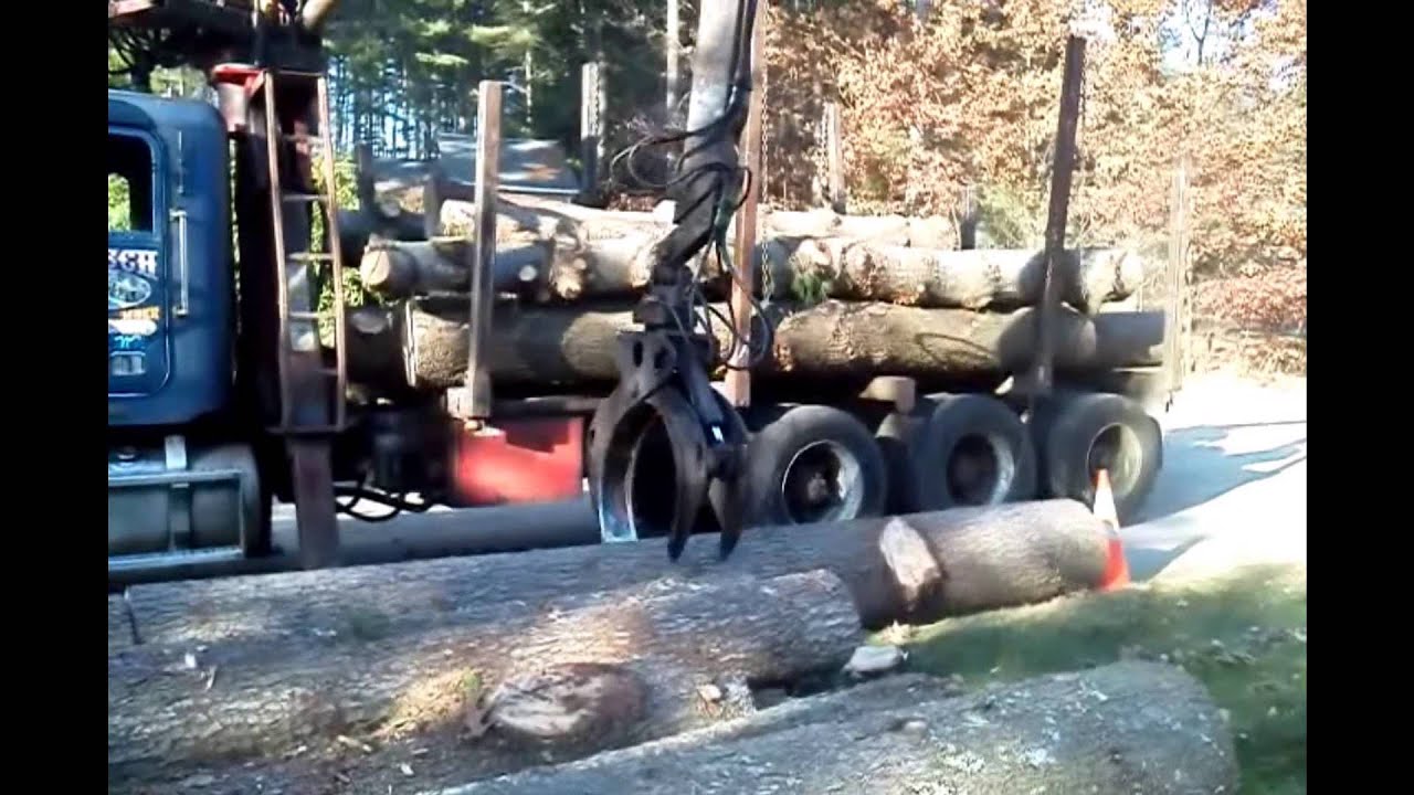 Log Removal by Happy Trees LLC with Hirsch Loging - YouTube