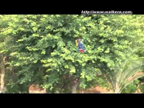 Walkera 4F200LM - YouTube