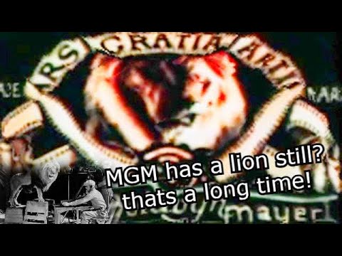 Metro-Goldwyn-Mayer - Telly the Lion In Content Aware Scale - YouTube