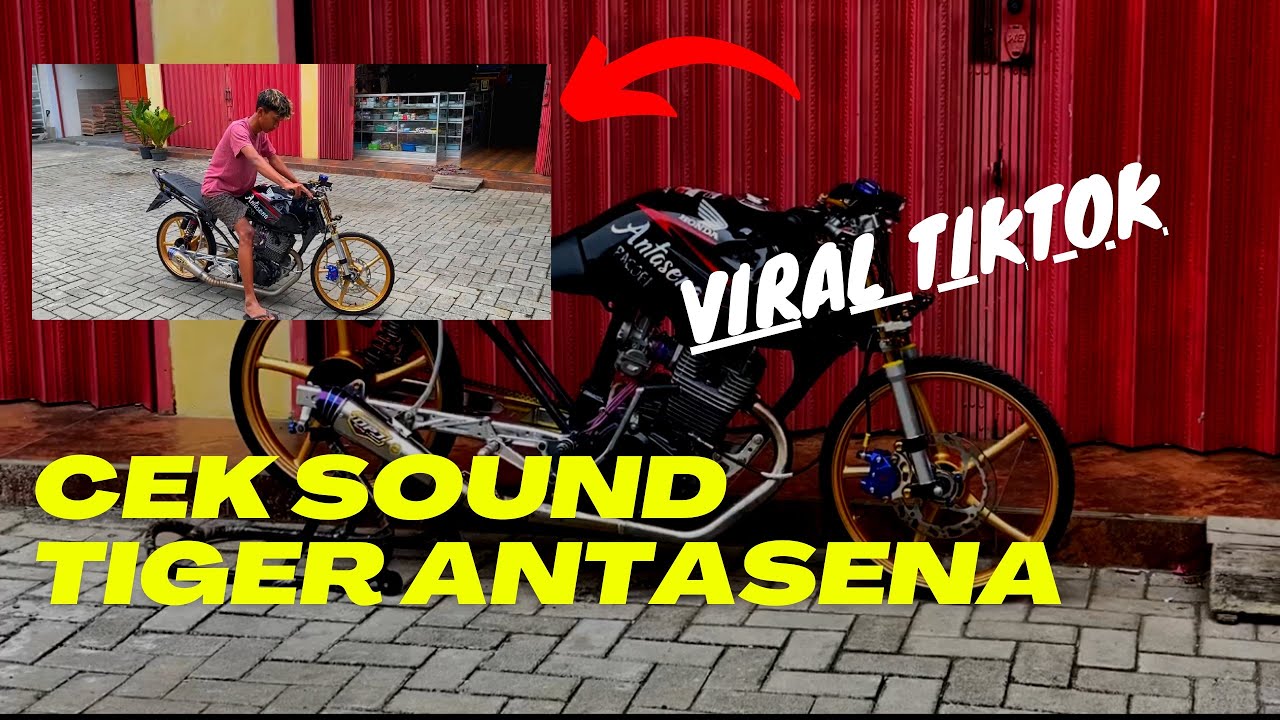 Tiger Antasena Cek Saund - YouTube