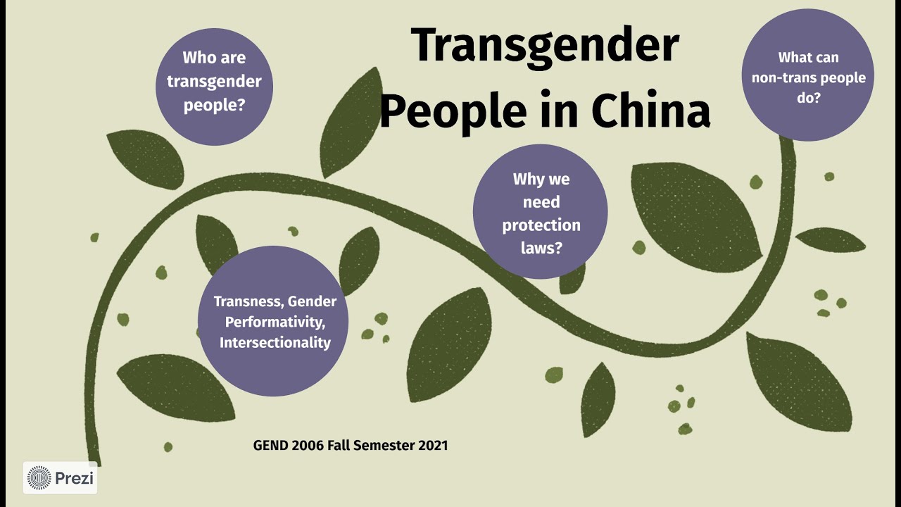 GEND2006 Transgender People in China - YouTube