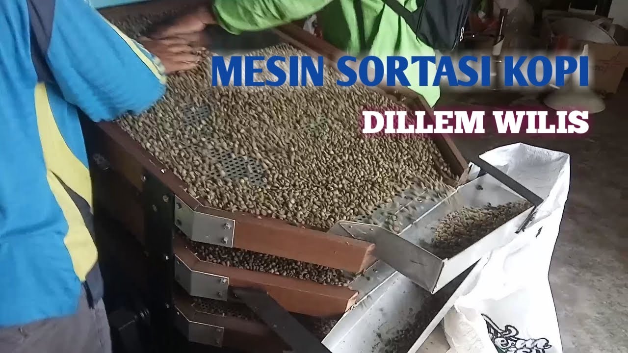 Mesin sortasi kopi [sangat efisien] - YouTube