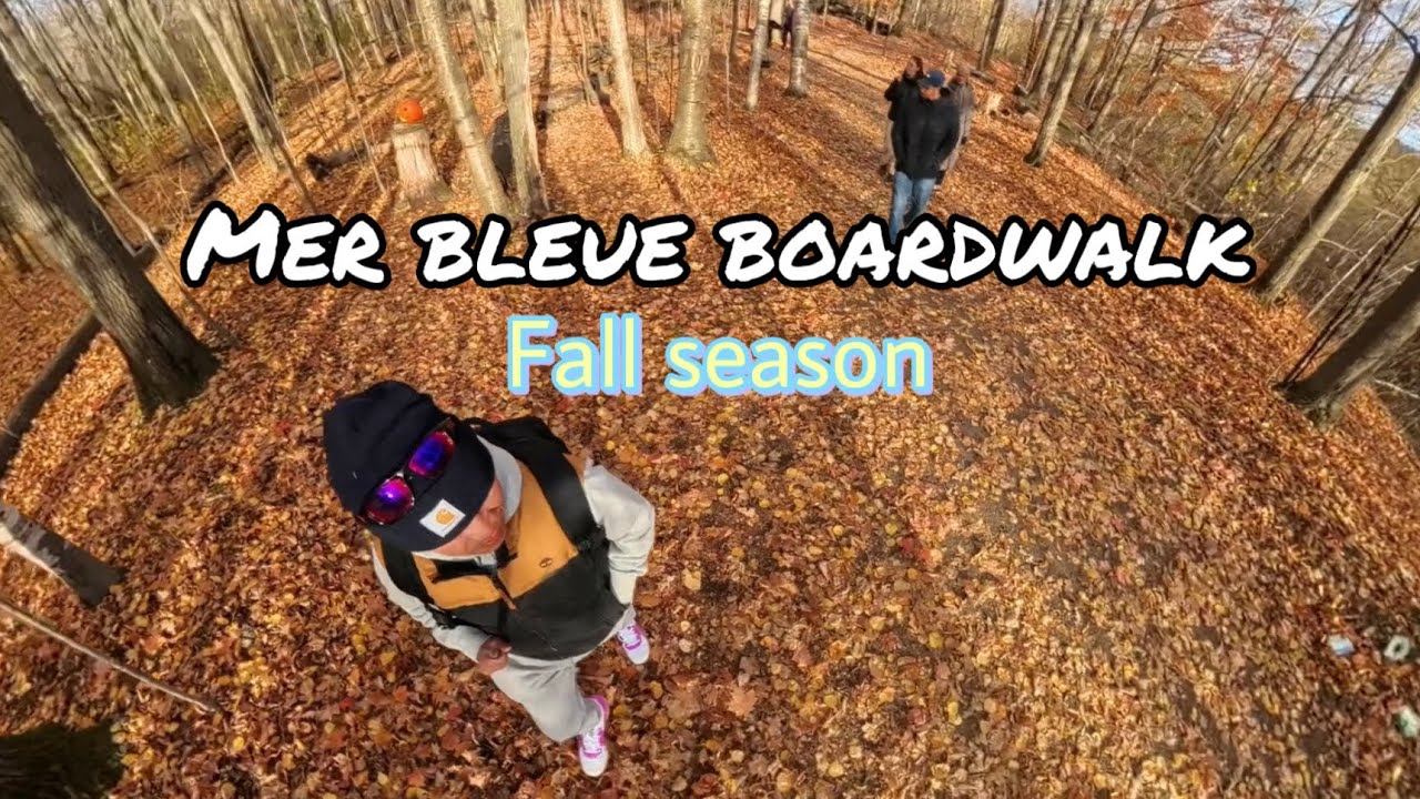 Mer bleue bog conservation board walk - YouTube