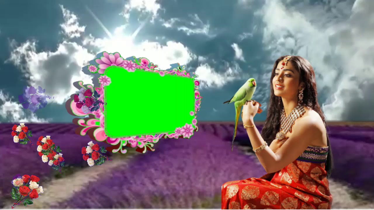 Wedding green screen video effect templates - Wedding green screen ...