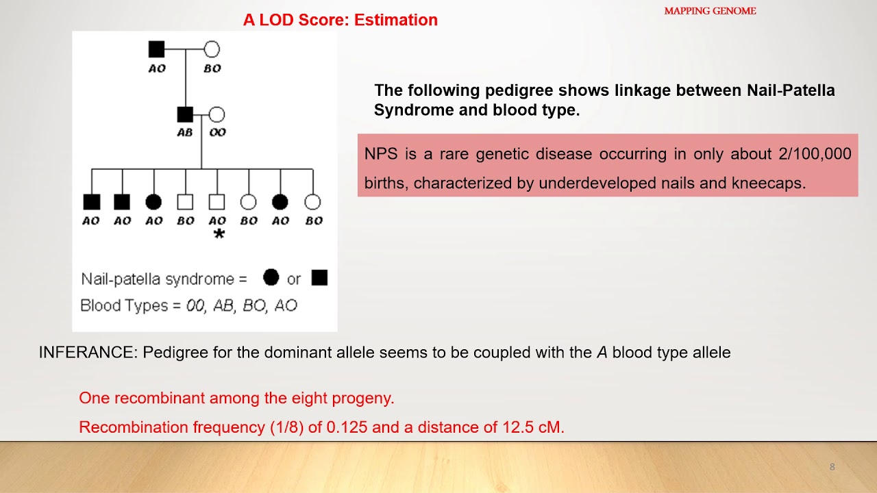 Genome Mapping - Part 2 - Pedigree Analysis and LOD Score - YouTube