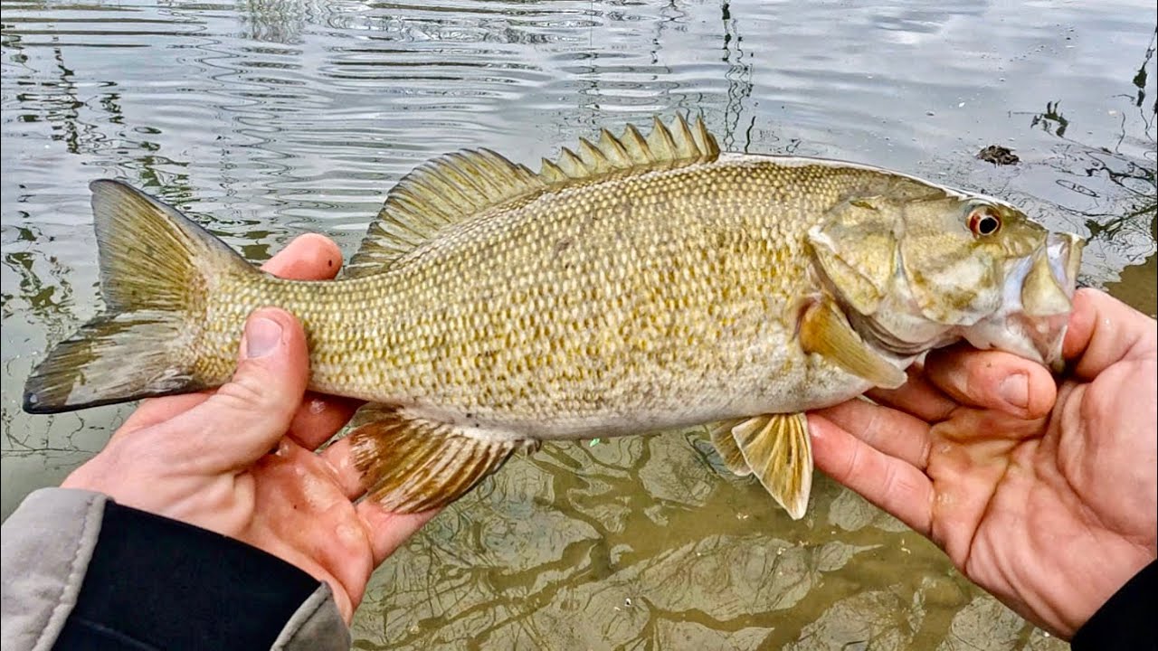 HOOKED Up on My 1st River Smallie of the SZN! - YouTube
