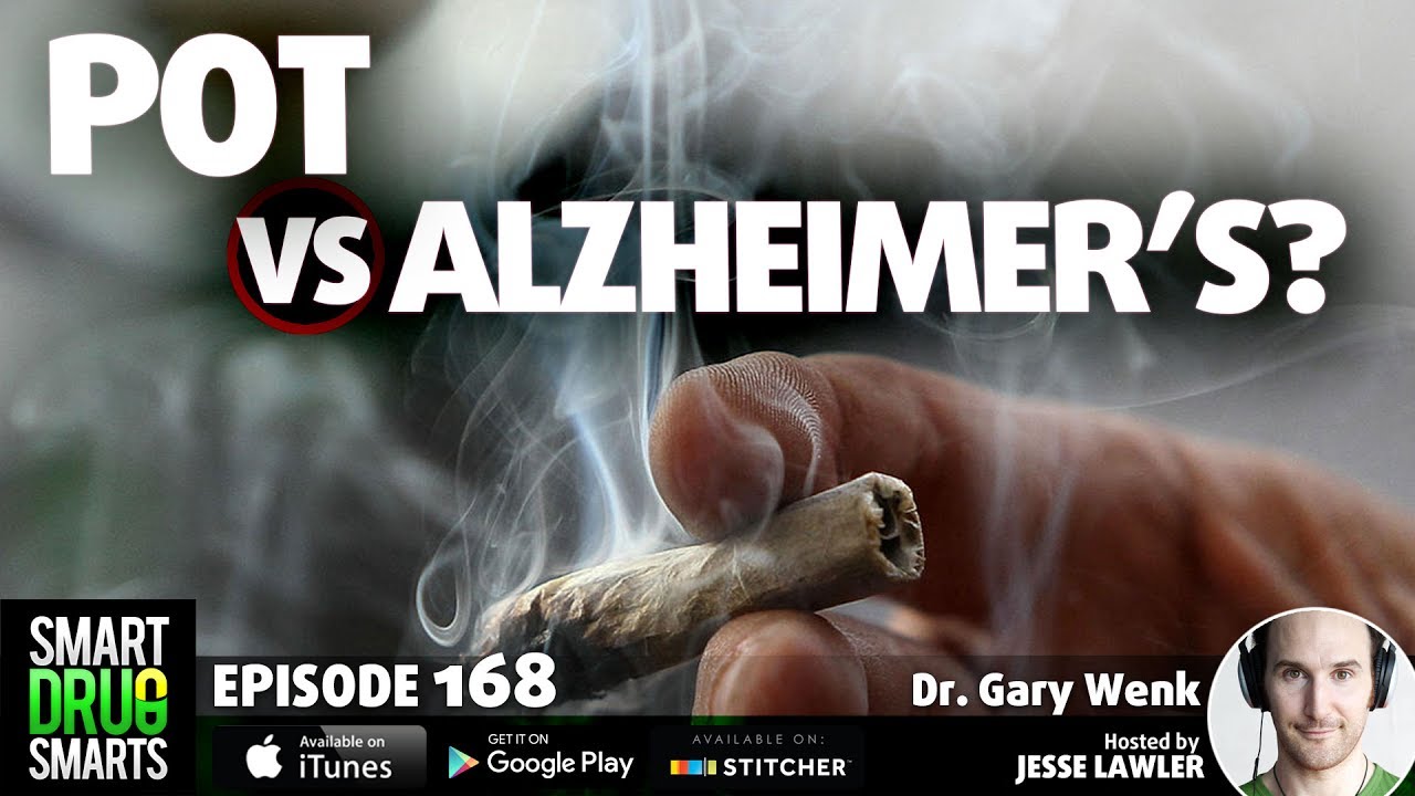 Episode 168 - Marijuana vs. Brain Inflammation with Dr. Gary Wenk - YouTube