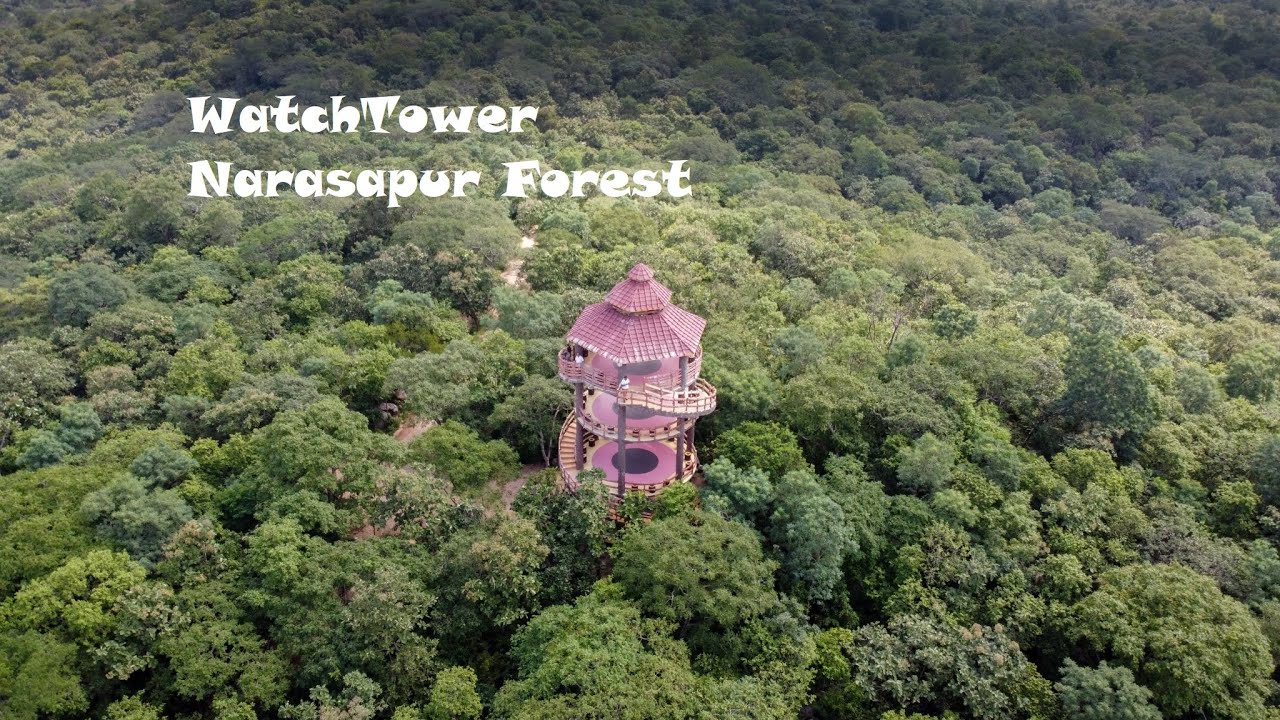 Watchtower - Narasapur Forest | Telangana Tourism | #NatureGuide ...