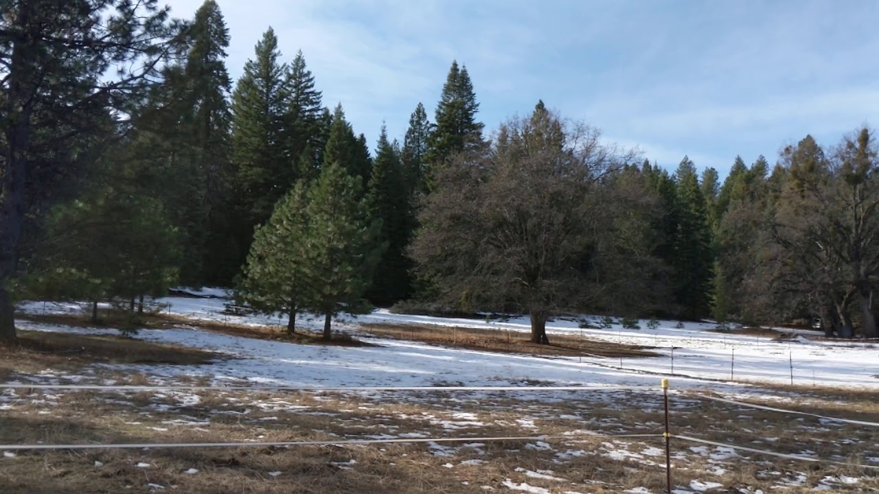 Williams ranch field - YouTube